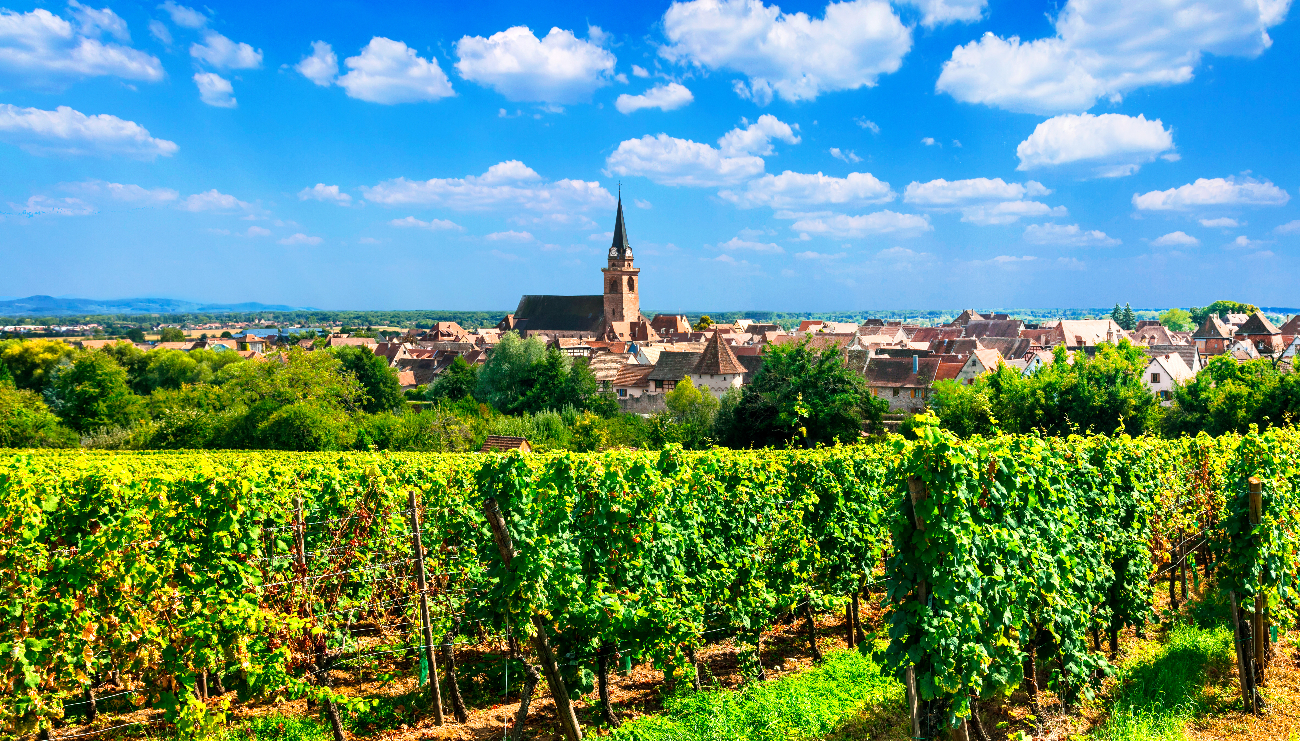 Alsatian Villages, Vineyards and the Vosges Mountains - CelestialVoyagers
